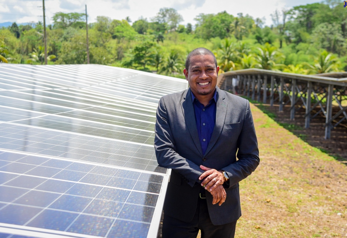 Jamaica | Solar-Powered Cooling Systems for Dairy Farmers - Caribbean ...